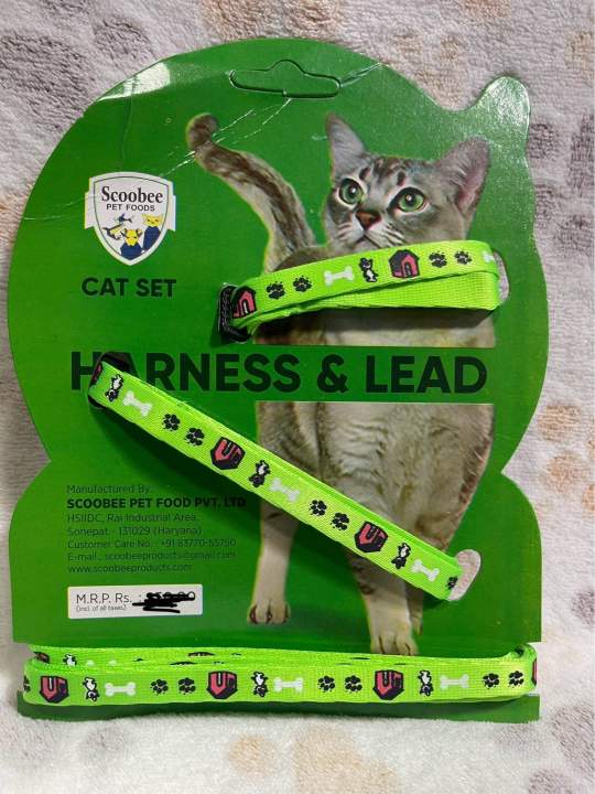 Cat body belt | Daraz.com.np: Buy Online at Best Prices in Nepal ...