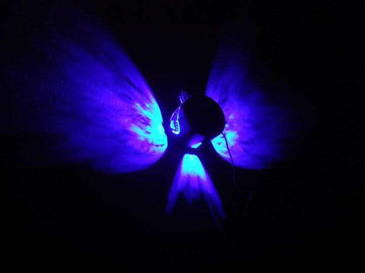 butterfly LED-Lump multi colors----220-w | Daraz.pk