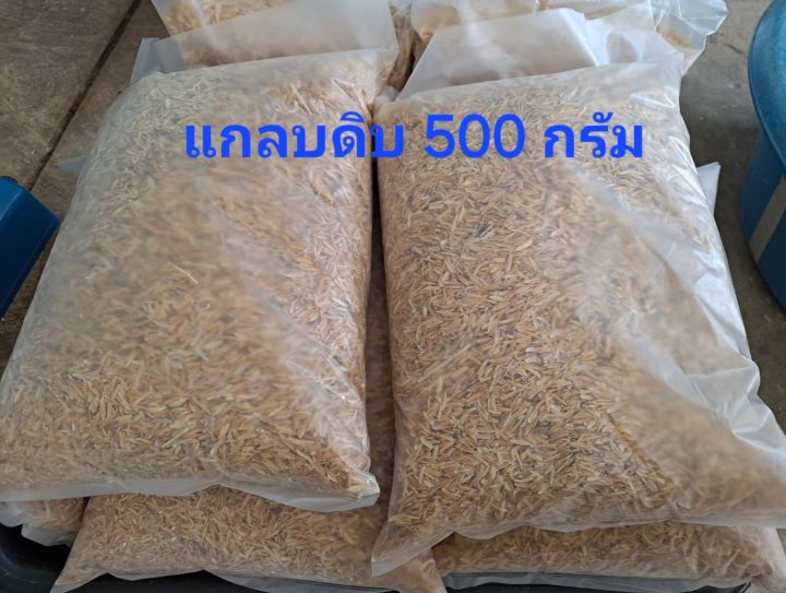 Raw rice husk is used to sprinkle pots with loose soil to help drain ...