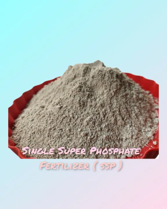 Single Super Phosphate Fertilizer ssp 1000 gm Repack Indian | Daraz.com.bd