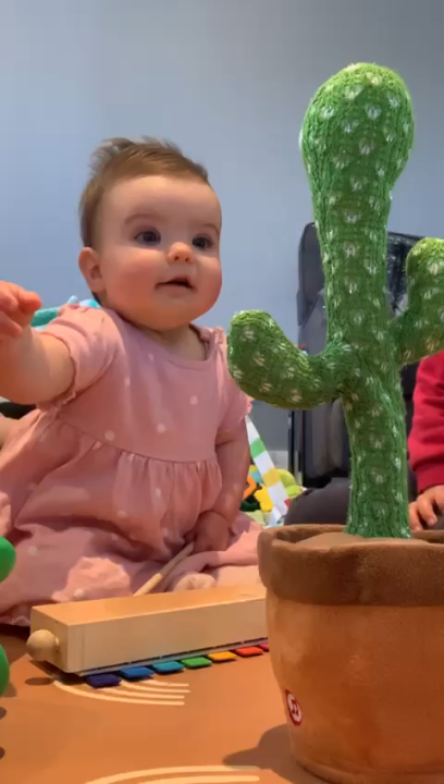 Dancing Cactus Toy Rechargeable – Talking, Singing, and Light-Up ...