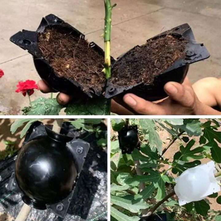 5pcs(5cm) Plant Rooting Ball Grafting Rooting Growing Box Breeding Case ...