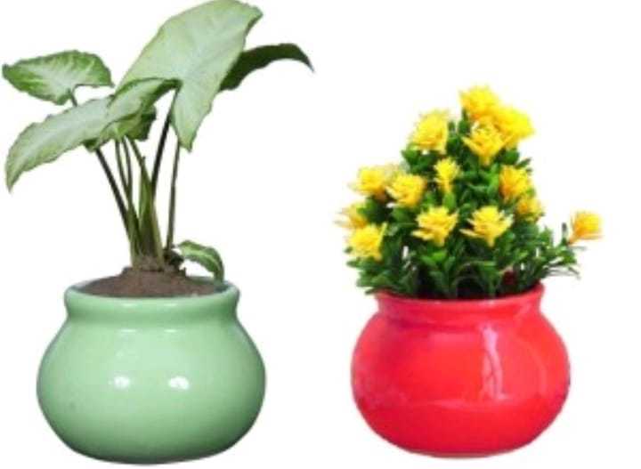Flower pot l Home Decoration pieces Flower vase set of 2 pots l with ...