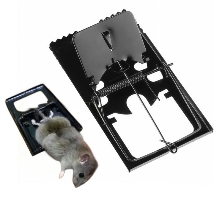 Heavy Duty Snap Mouse Trap Large Size For Household Items Mee Kathuru ...
