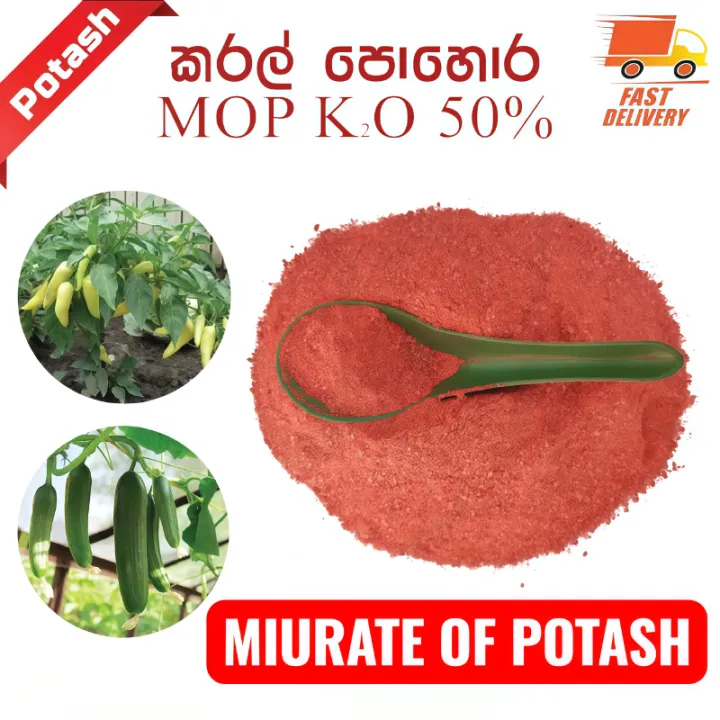 Vegitable Fertilizer MOP Miurate Of Potash For High Quality Fertilizer ...