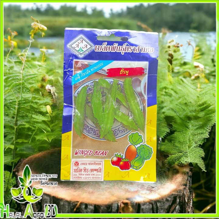 Thai Winged Sim Seeds-থাই কামরাঙ্গা সীমের বীজ(Intact Packet) | Daraz.com.bd