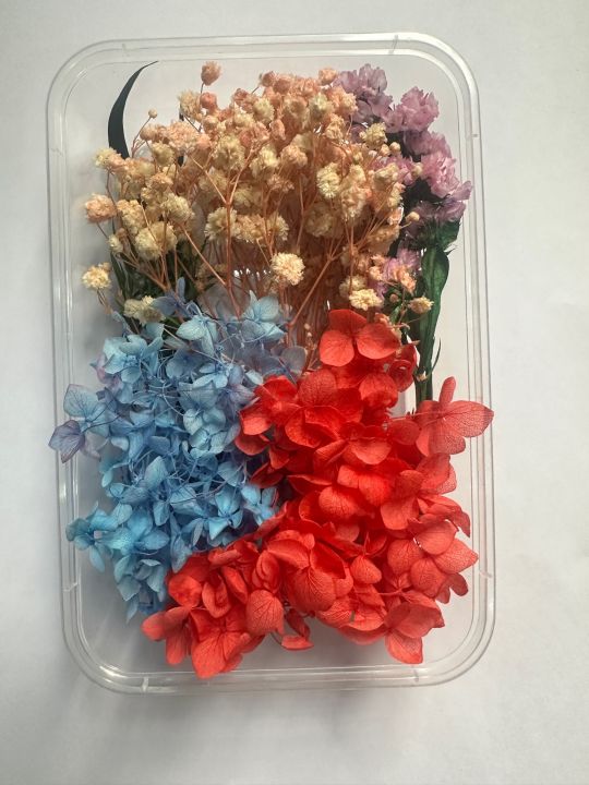 Dry Flowers Box - Multicolor | Daraz.com.bd