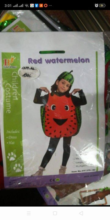 watermelon costume for kids 2 and 4 year | Daraz.pk