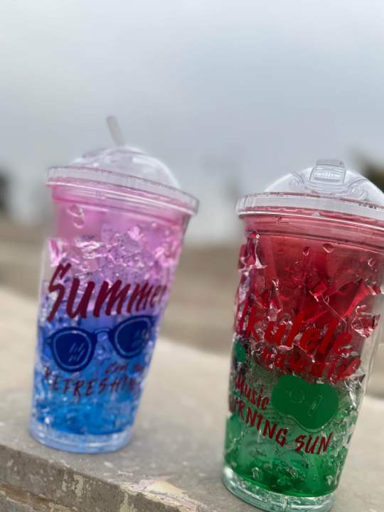 Plastic Iced Coffee Cups Smoothie Cup Cute Insulated Tumbler with Lid ...