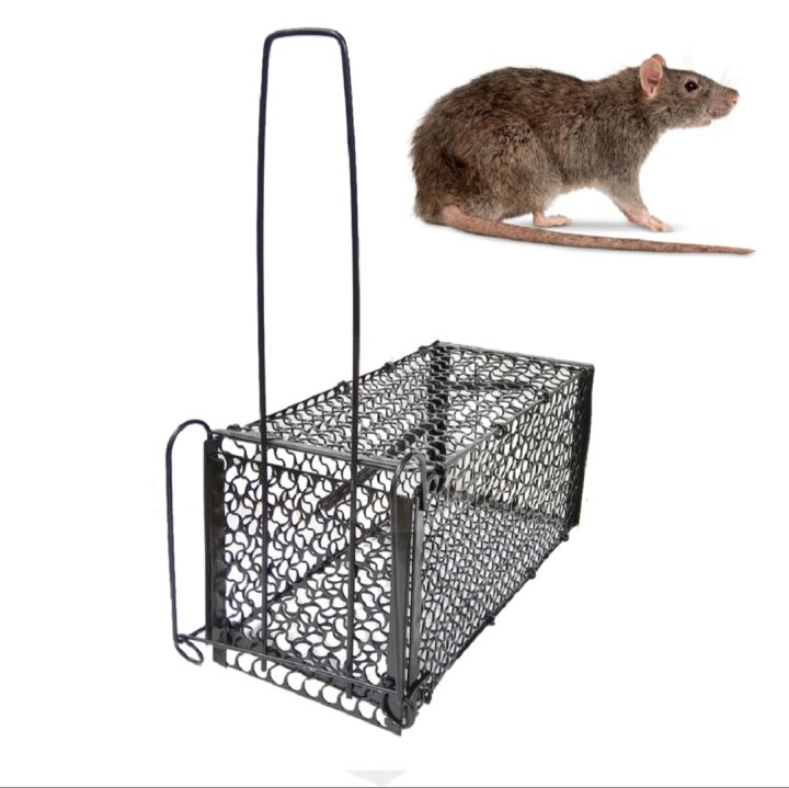 RAT BOX | Daraz.lk: Buy Online at Best Prices in Srilanka | Daraz.lk