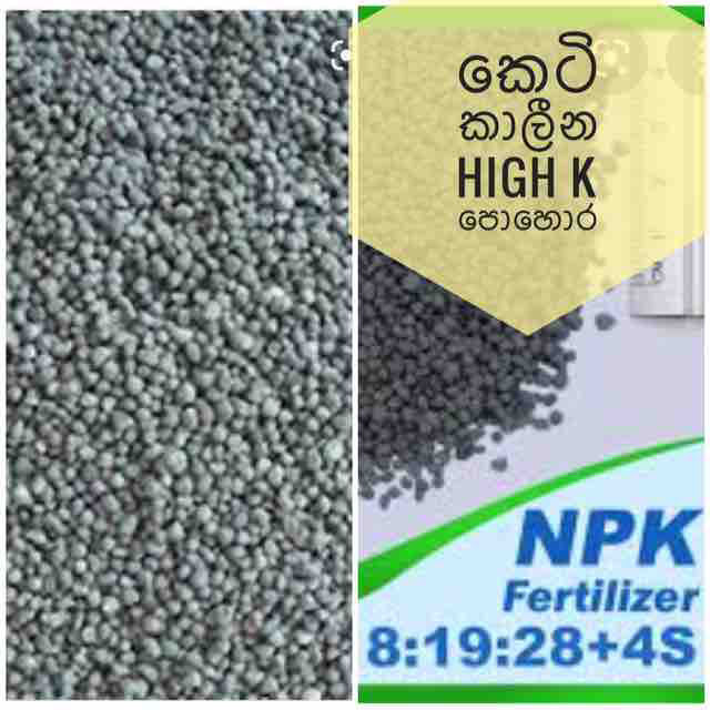 High k fertilizer කෙටි කාලීන පොහොර | Daraz.lk
