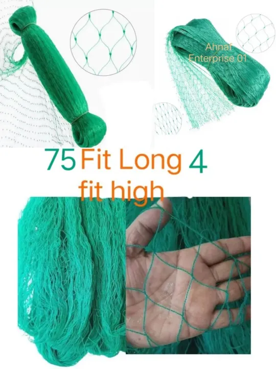 Garden Fencing Plastic Net 75 Fit Long 4 fit high | Daraz.com.bd