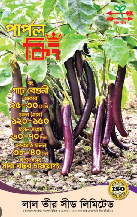 F1 Hybrid purple king eggplant seeds (25 pieces Re- Pack and original ...