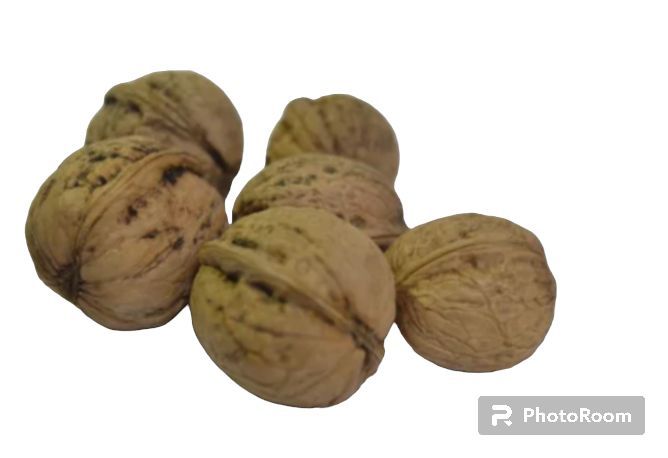 Kashmiri Walnuts with Shell 1 Kg, Kashmiri Akhrot, Kashmir Soghat ...