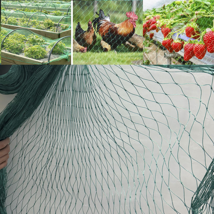 Bird Net, Orchard Net, Garden Nets, Chicken Cage, Poultry, Heavy Duty ...