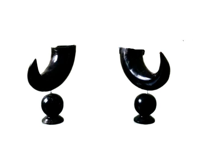 Decorative Show piece of Cow horns for table | Daraz.pk