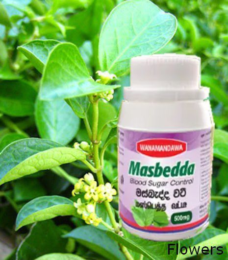 Masbedda Natural Ayurvedic Tablets 100s [500mg] For Controling Blood ...