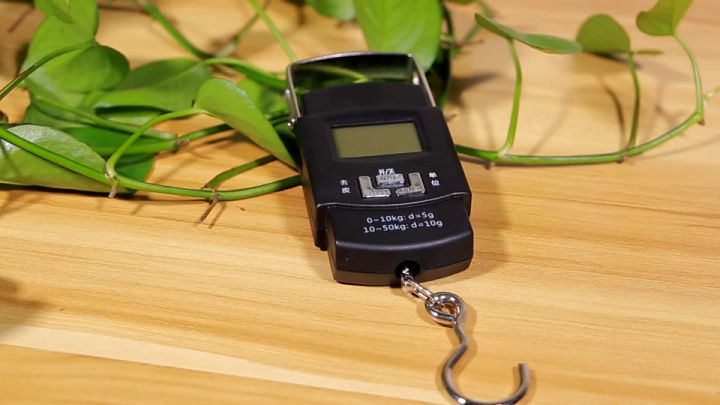 Best Portable Hanging Digital Hook Scale – Black Electronic Weight ...