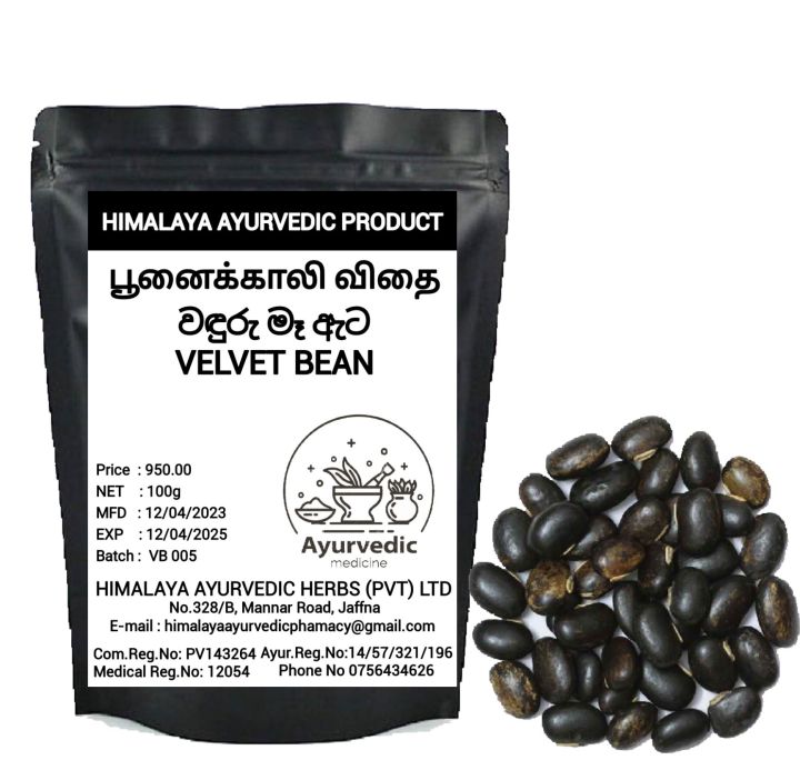 VELVET BEANS பூனைக்காலி விதை වඳුරු මෑ ඇට 100g | Daraz.lk