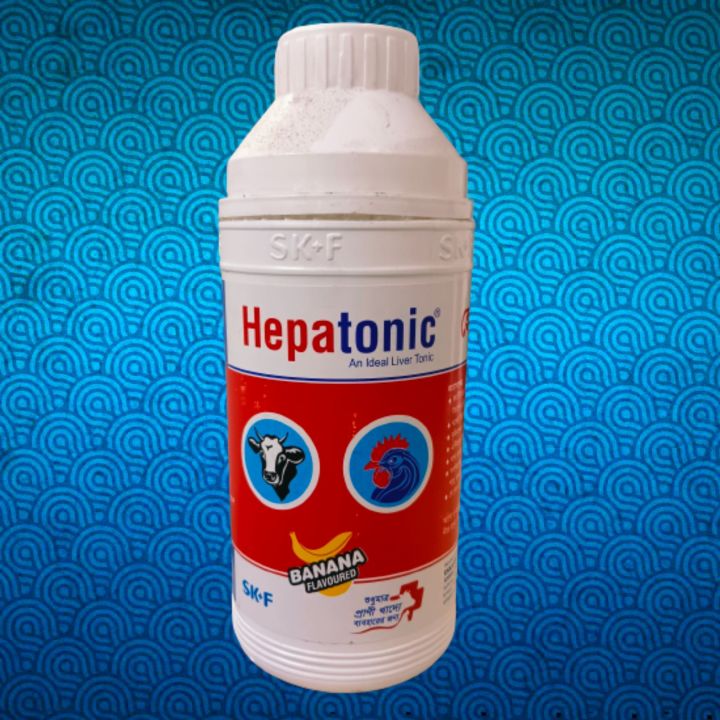 HEPATONIC 500ml | Daraz.com.bd