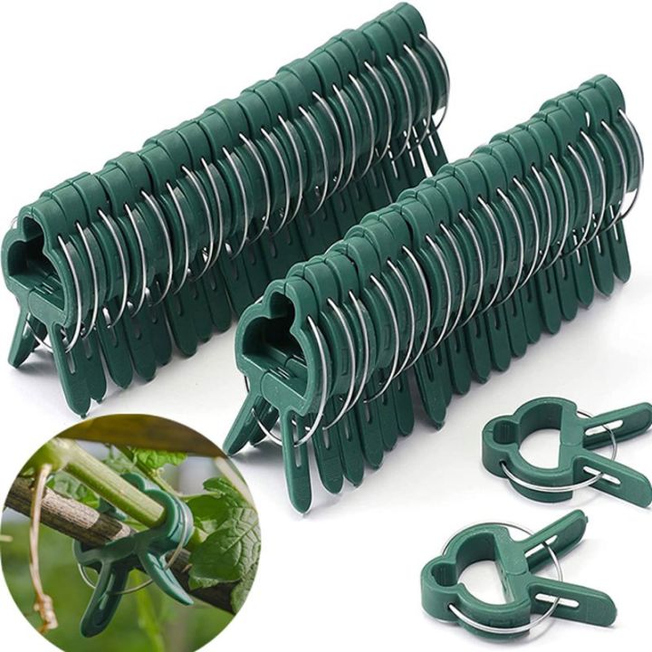 20Pcs Plant Fixed Clips Reusable Garden Greenhouse Bracket for Fixed ...