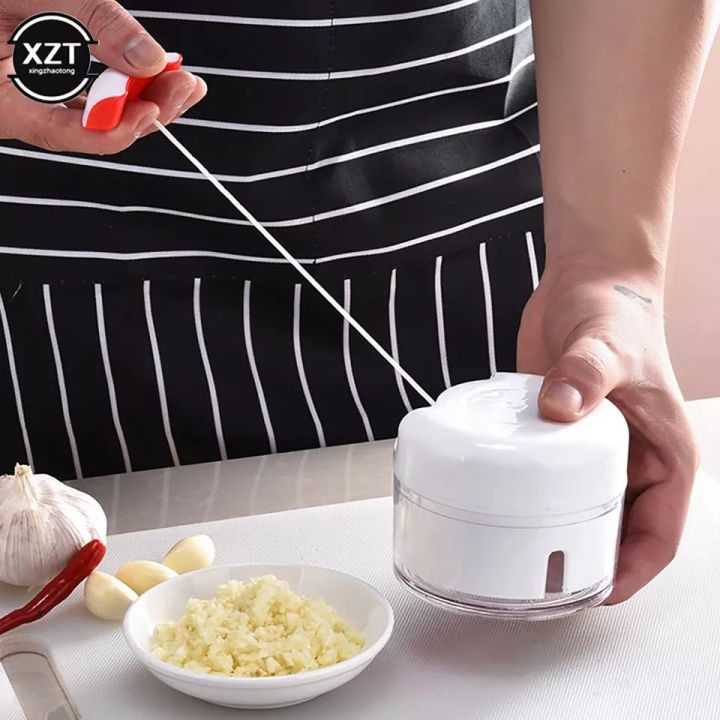 Mini Food Chopper Multifunctional Meat Grinder Garlic Chopper Mini ...