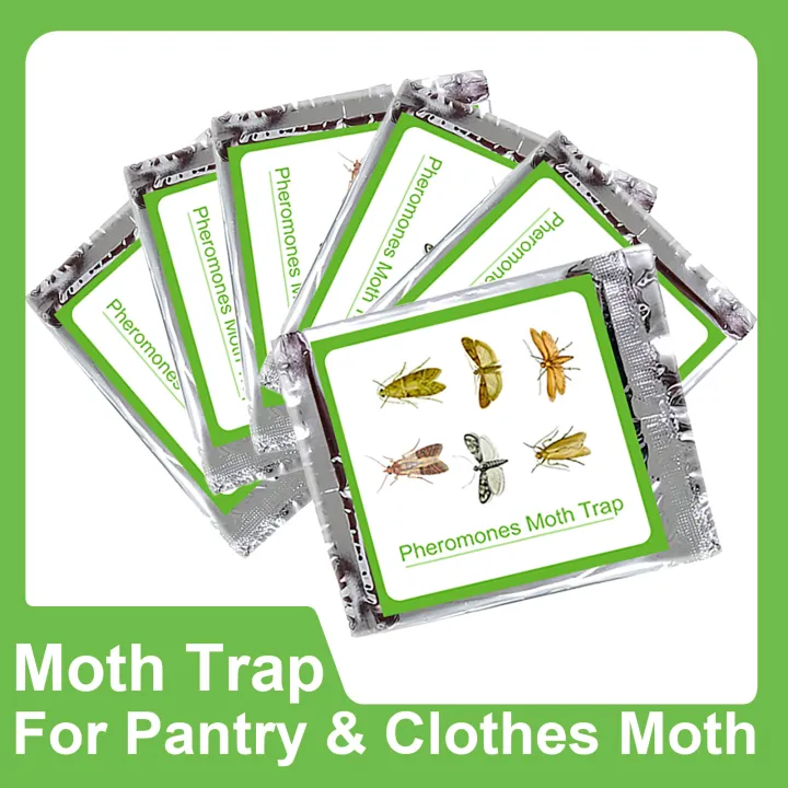 6/12/50PCS Clothes Pantry Food Pheromone Killer Paste Sticky Glue Trap ...