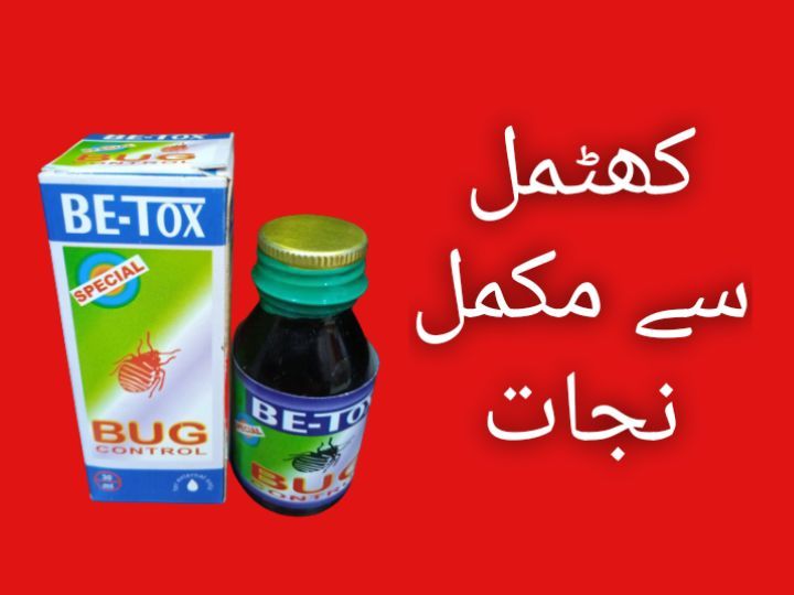 Special BedBug Control | Finished All Bed Bugs Easily | Bed Bugs ...