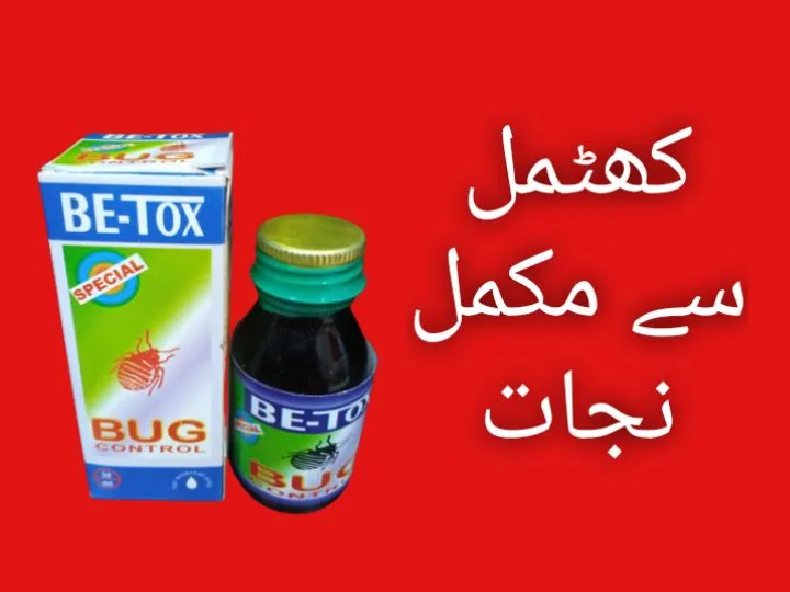 Special BedBug Control | Finished All Bed Bugs Easily | Bed Bugs ...