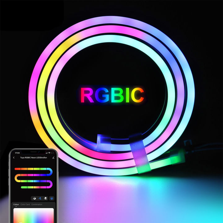 DC5V Bluetooth RGBIC Neon LED Strip with Remote control 1M 2M 3M RGBIC ...