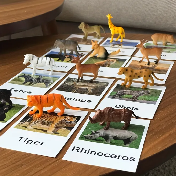 Montessori Animal Matching Card,Language Learning Cognitive Kids ...