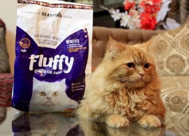Fluffy Cat Food- 1 Pack Of 1.2Kg | Daraz.pk
