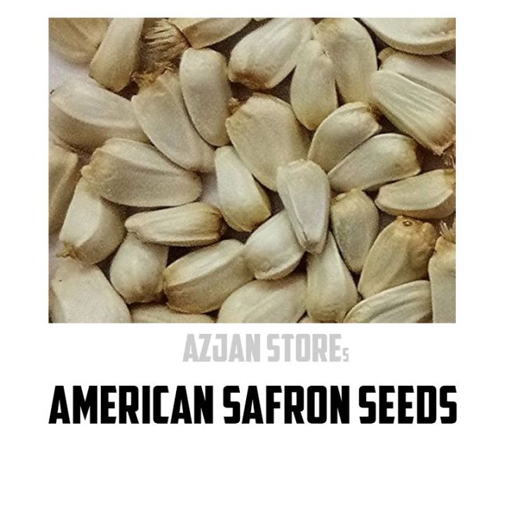 Original American saffron seeds pack of 300 seeds deal | Daraz.pk