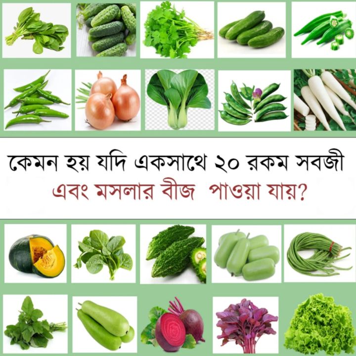 20 Type Vegetable & spicy seed ( Lettuce, chilli, Korola, Borboti ...