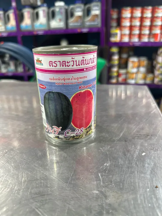KINAREE C-28 watermelon seeds | Daraz.lk