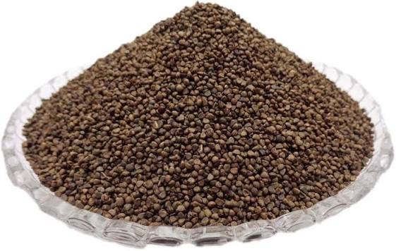 Beej Band (Bala Beej / Sida Cordifolia Seeds) – 100% Natural Herbal ...