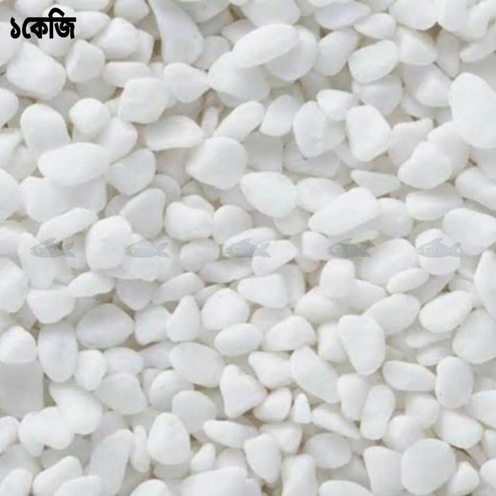 1kg White Pebble Stone for Aquarium or Small Tub Plant Decoration ...