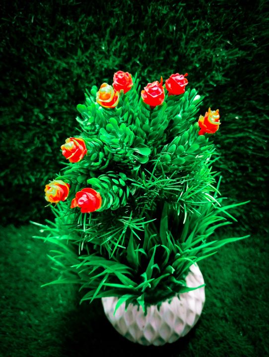 Waterweeds Flower Tob | Daraz.com.bd