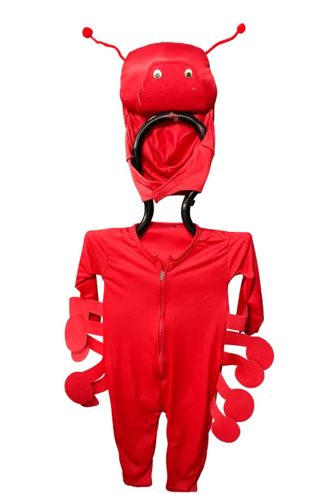 Cute Red Ant Costume for Kids – Insect Character Dress with Hood and ...