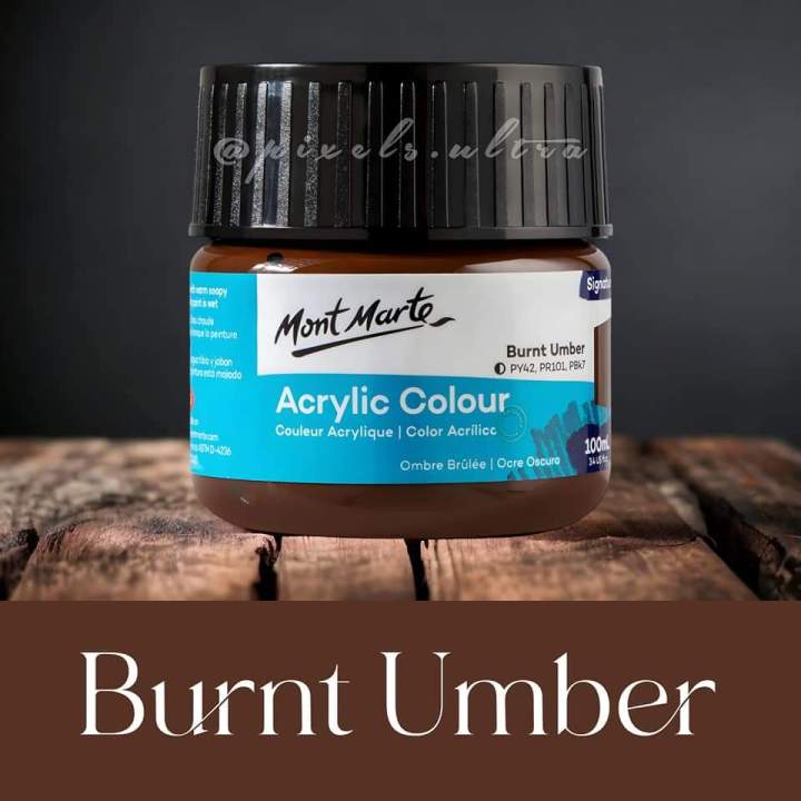 Mont Mart Acrylic Colour Burnt Umber | Daraz.com.bd