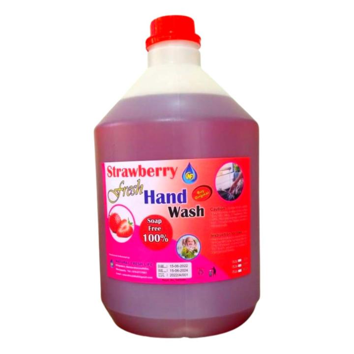 Strawberry Hand Wash 4L – Refreshing, Gentle & Fruity Clean | Daraz.lk