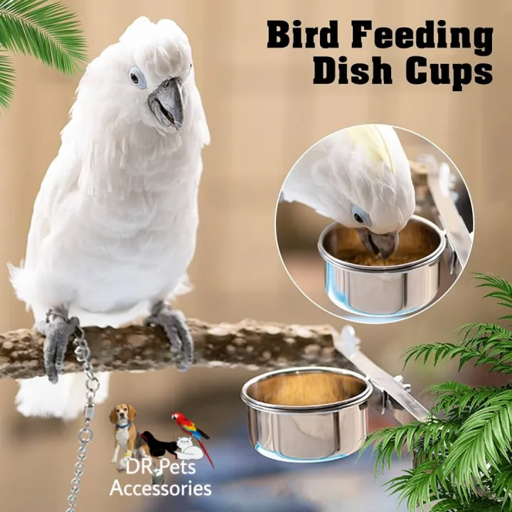 Bird Feeding Dish Cups, Stainless Steel Parrot Food Bowl Two Clamp ...
