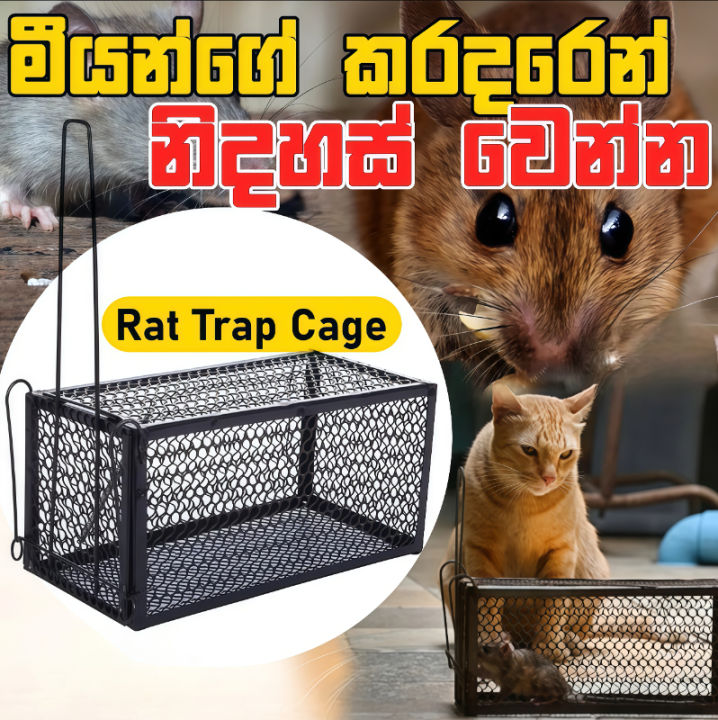 Rat Trap Cage Mouse Case Mice Catcher Home Animal Control Mee koodu Mee ...