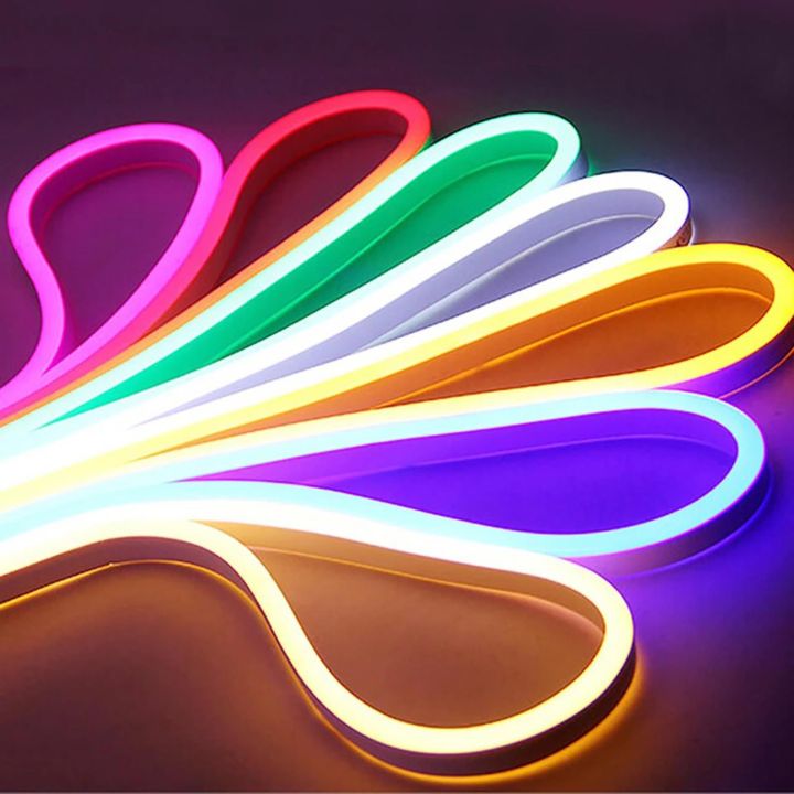 12V Neon LED Strip Light, 12V, 5 Meter - Neon Strip -Neon light strip ...
