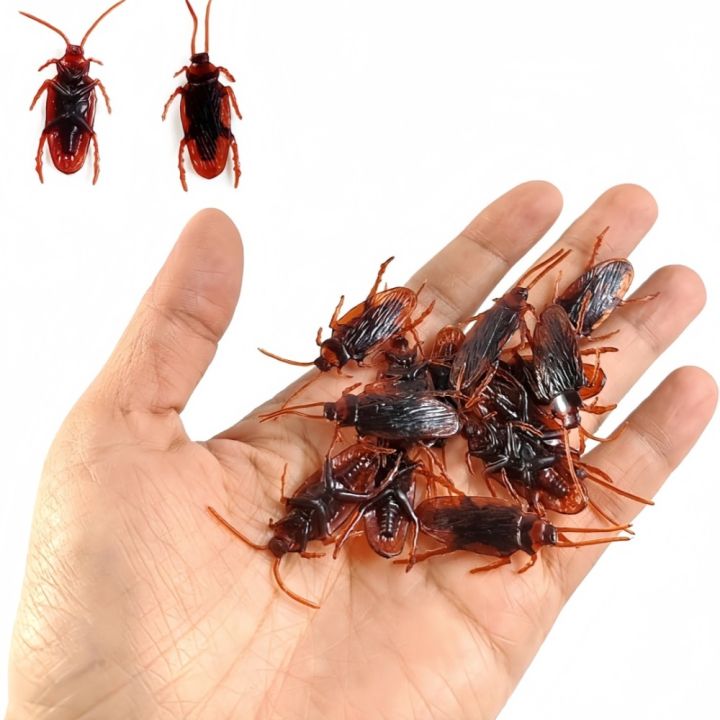 15/5pc Simulated Cockroaches Realistic Fake Cockroaches in Plastic ...