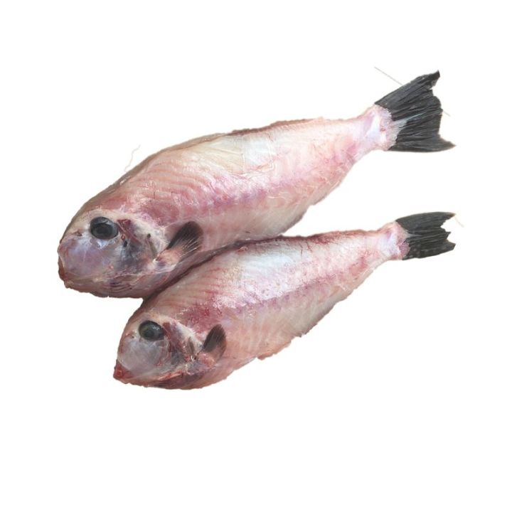Muhudhu Kukula Dry Fish 250g Without Head | Daraz.lk