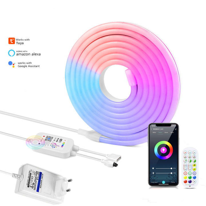 Tuya Smart RGB LED Strip 12V Neon Tape White/Warm WiFi APP Control ...