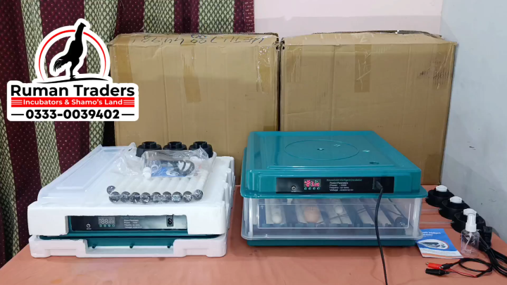 70 Eggs Incubator Intelligent Full Automatic Incubator Dual Supply AC ...