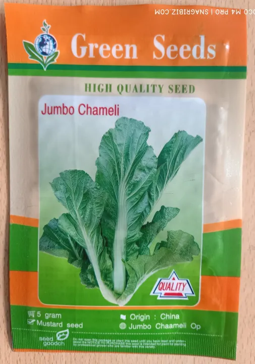 Jambo Chameli Large Broad leaf Mustard Rayo Leafy Vegetable Seed 5 gm ...