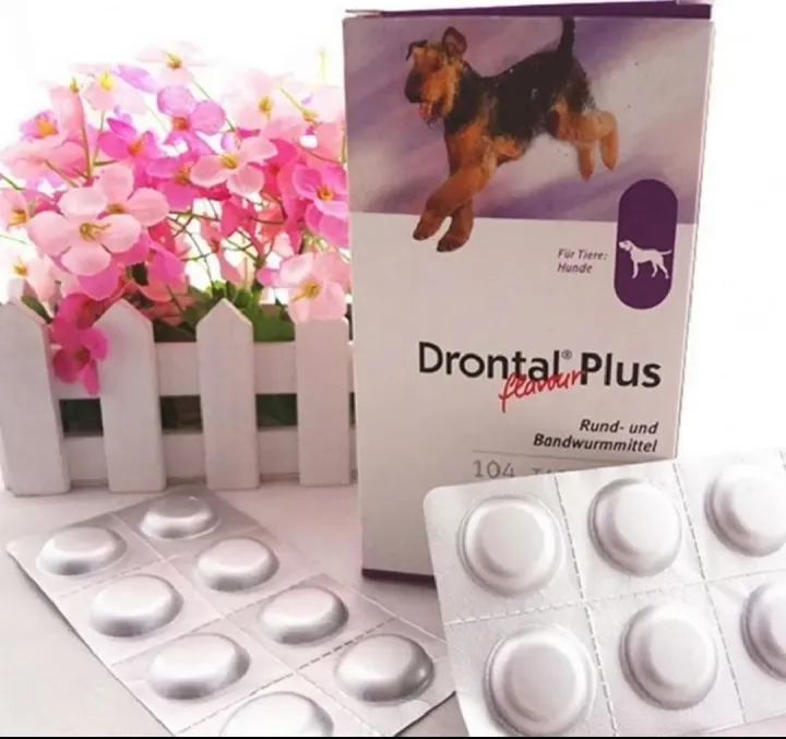 Drontal Plus Dog Deworming Tablet- 1 tablet | Daraz.pk